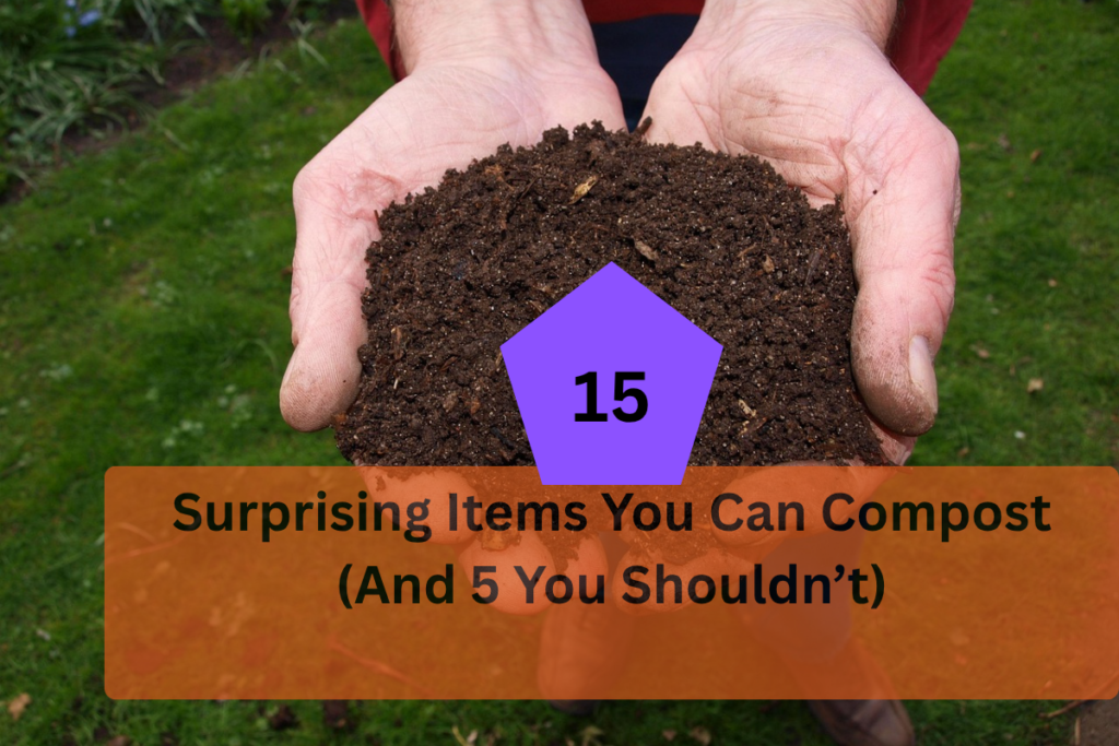 How Long Does Plastic Take To Decompose? - Our Lovely Planet