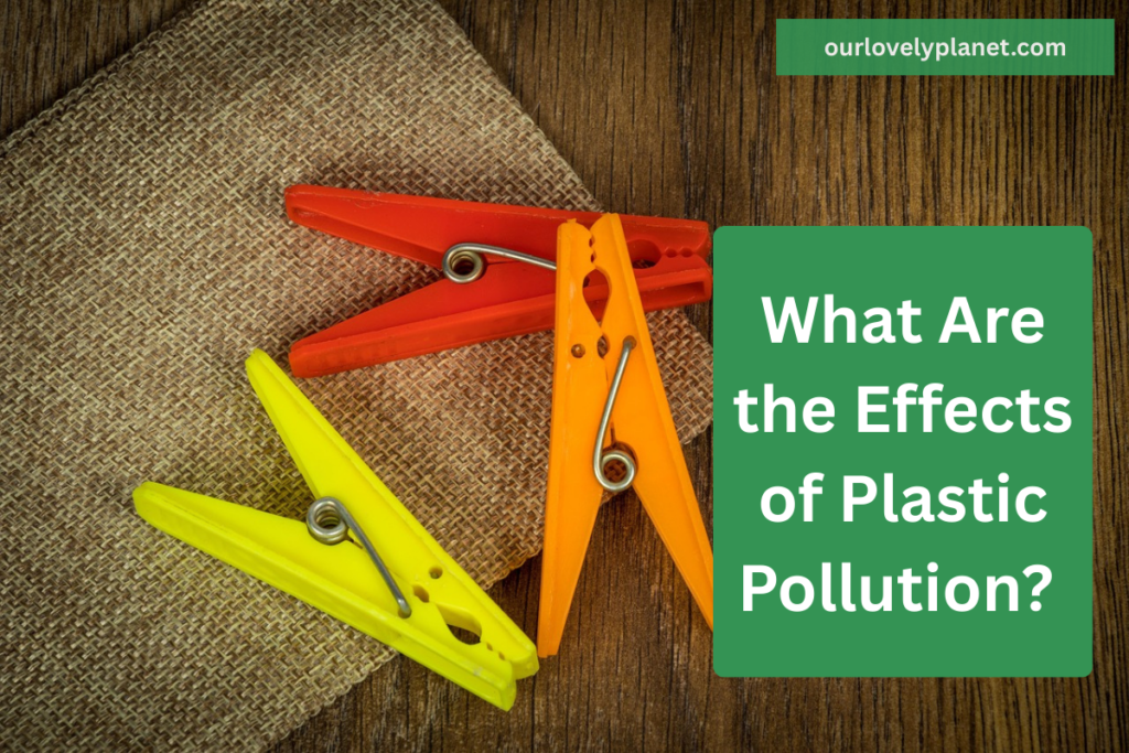 How Long Does Plastic Take To Decompose? - Our Lovely Planet